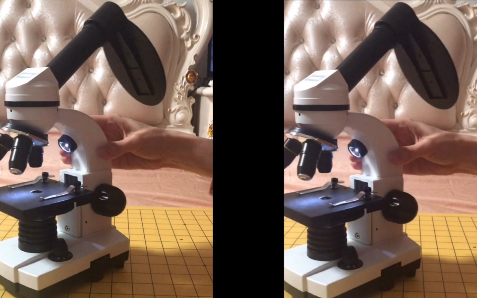 生物课上的学生显微镜基本知识