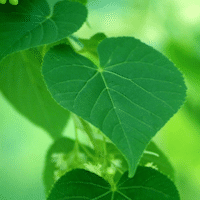 李浩生聊纪录片 