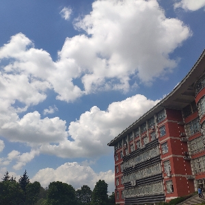 青春震旦 