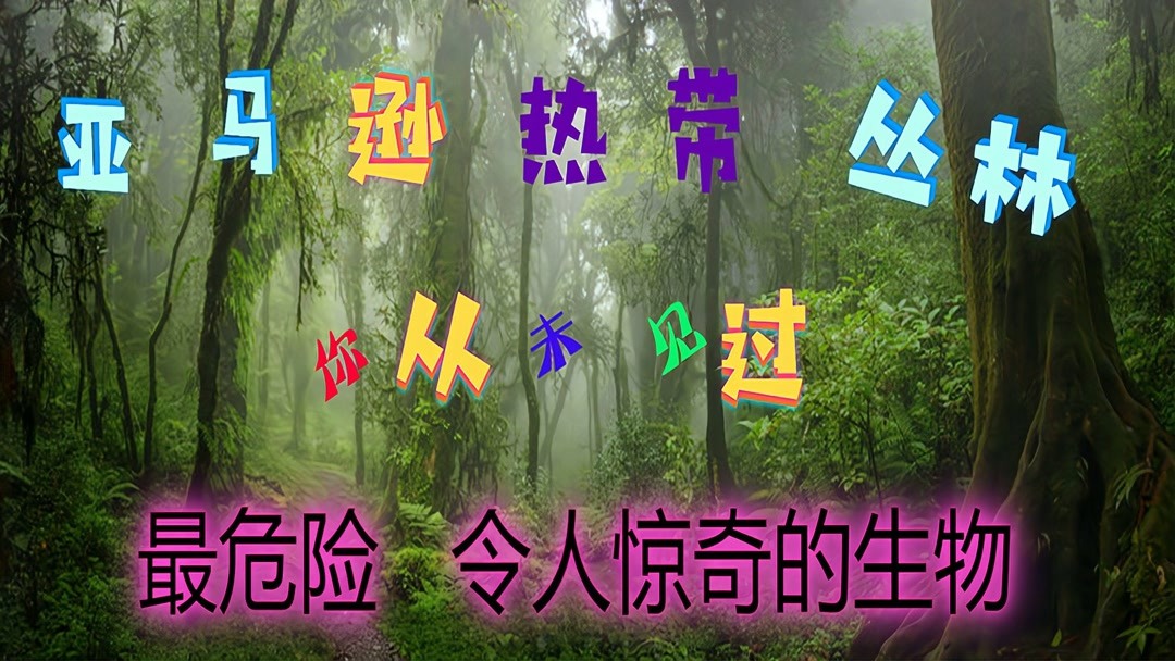 亚马逊热带丛林-你从未见过-最危险最令人惊奇的几种特别生物