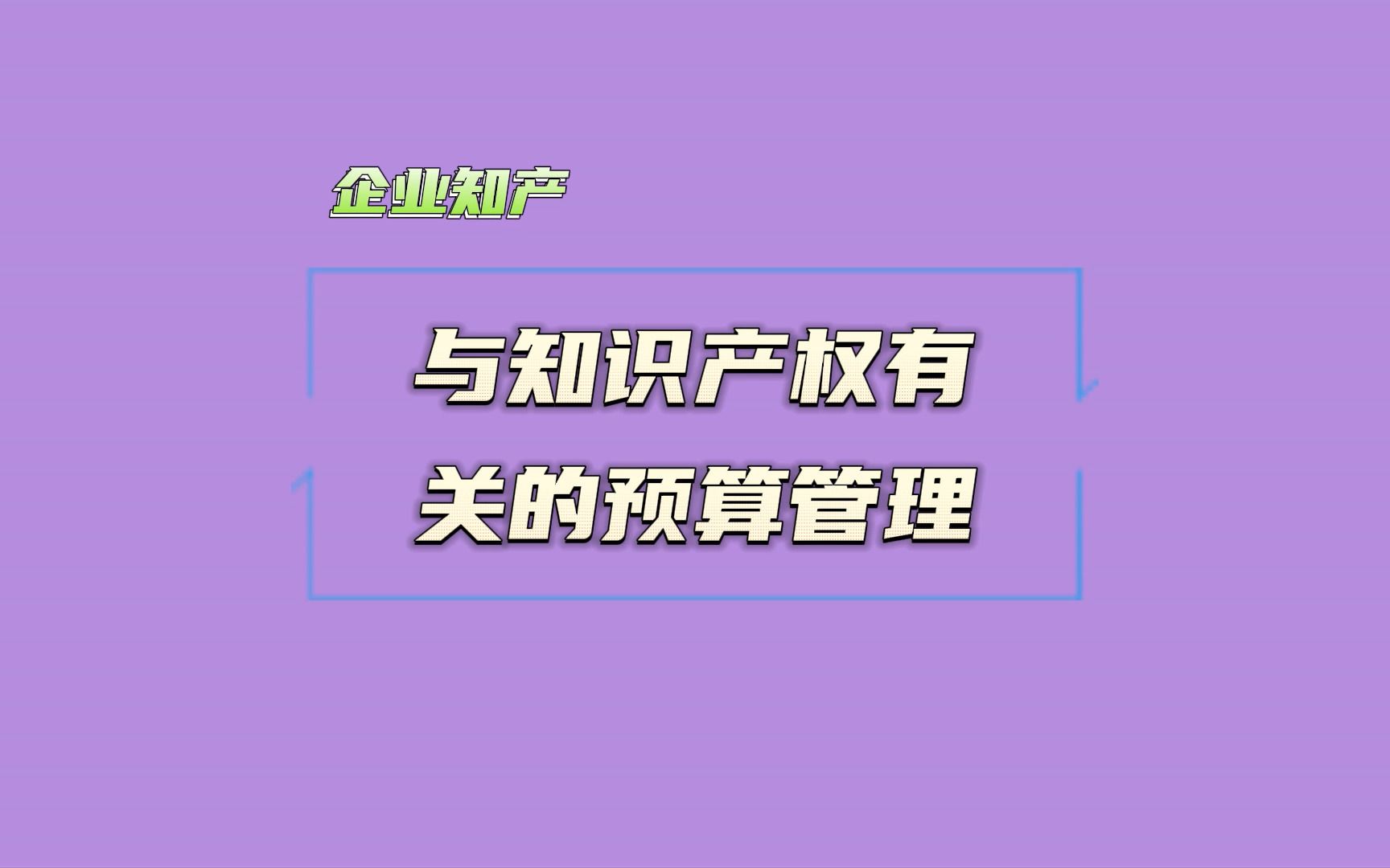 企业知产战略31-与知识产权有关的预算管理