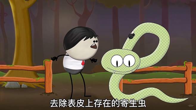 科普小知识:蛇为什么会脱皮?