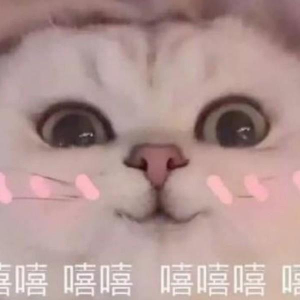 的庞德v高兴同学 