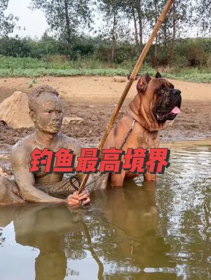 #适合家养的大型犬品种推荐 #萌宠 #萌宠出道计划 -钓鱼最高境界