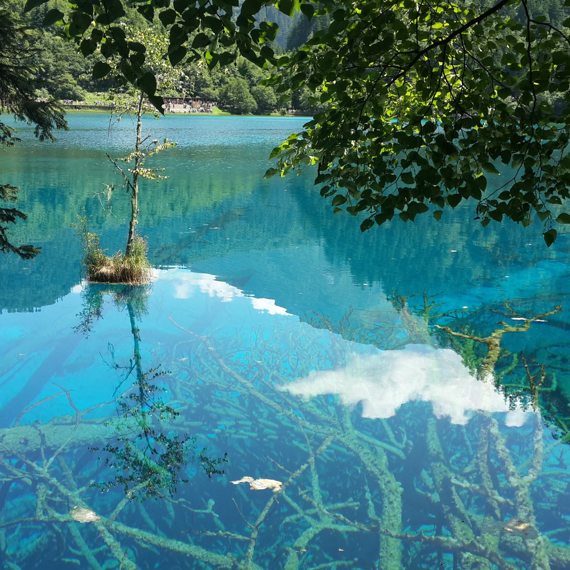 最美的风景有你的陪伴 