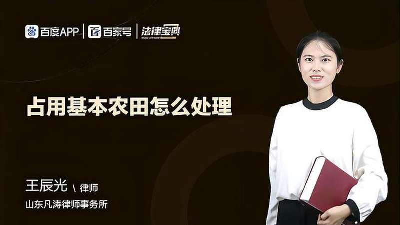 占用基本农田怎么处理