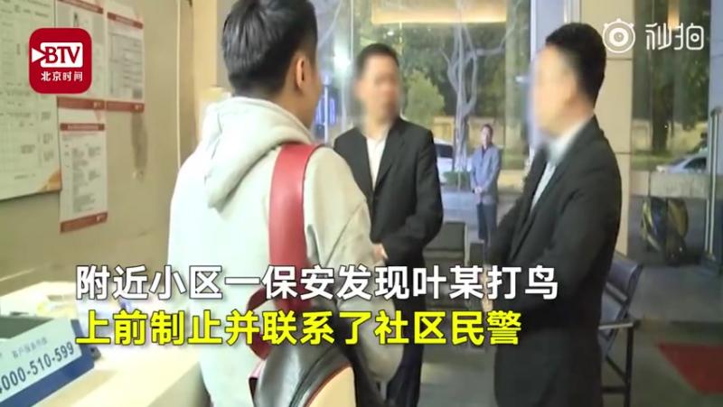 【你摊上事儿了!男子玩弹弓3小时射杀16只鸟。森林公安:或将负刑责...