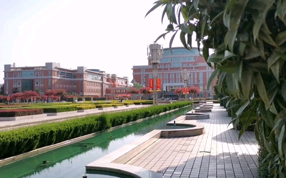 实验室的毕业季Vlog