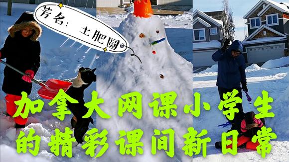 加拿大小孩不怕冷,网课三年级小学生,精彩课间活动新日常