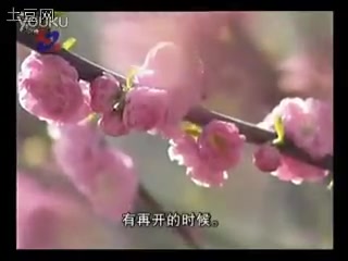 《第三单元:8 匆匆》部编版小学语文六年级下册 省级公开课 优质课 ...