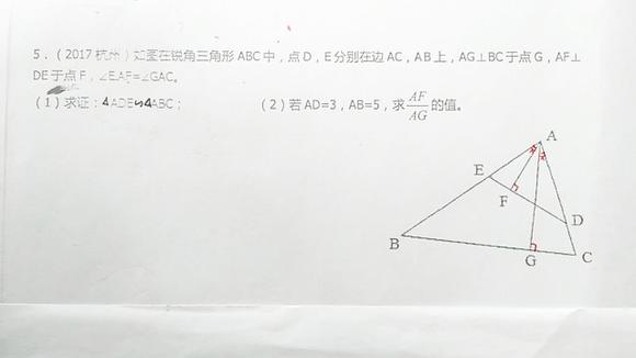 中考数学:相似三角形的性质?相似三角形怎么判定?经典考试真题