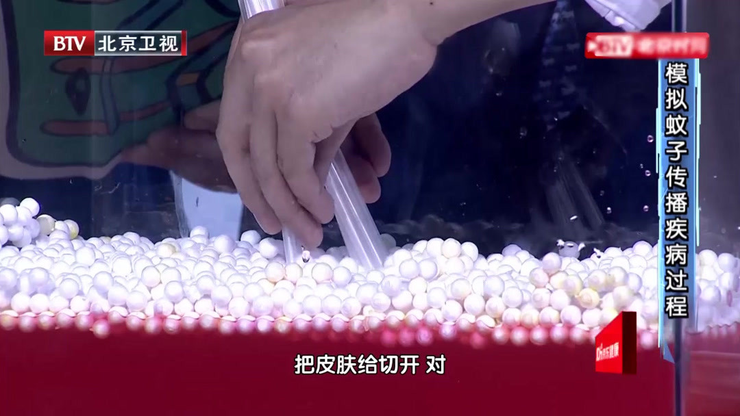 蚊子能传播疾病?一个实验为您揭秘,如何将病毒传染给人体
