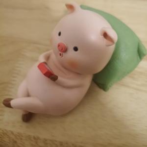 十六年卑微小个体 