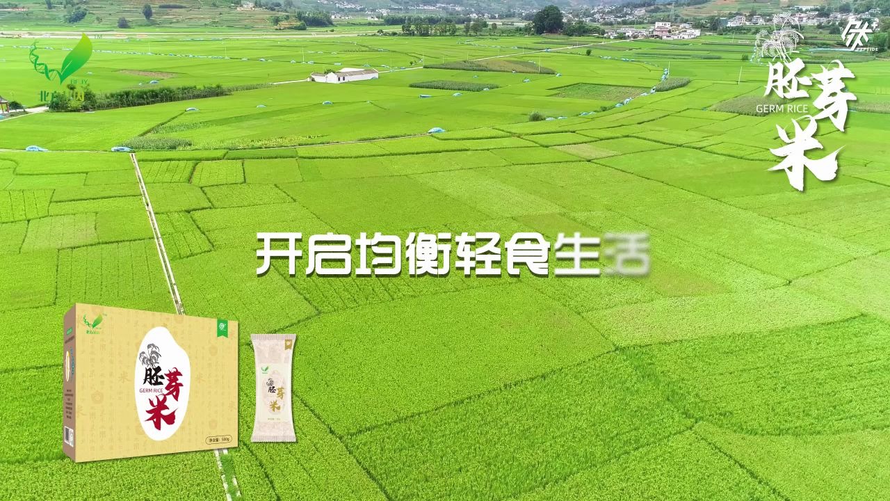 不是所有的大米都叫胚芽米