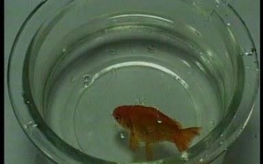 液态氮及其应用