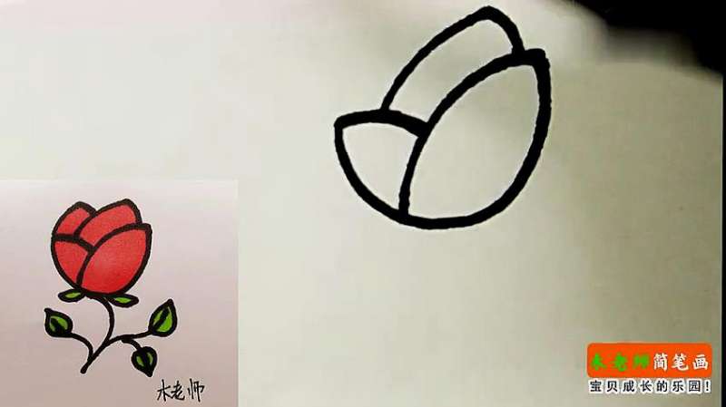 木老师简笔画玫瑰花