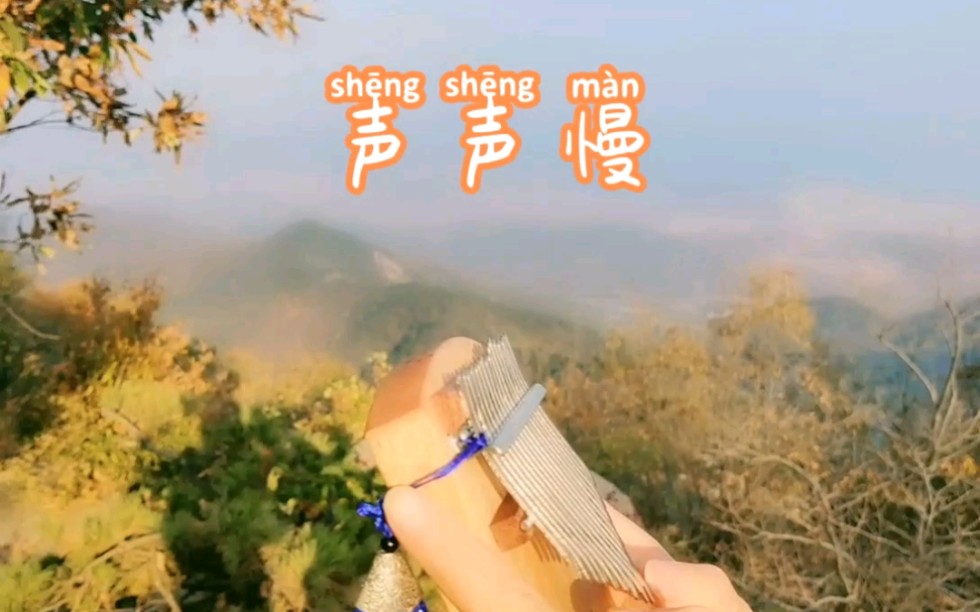 【拇指琴/卡林巴】声声慢