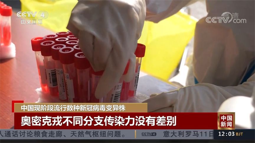 中国现阶段流行数种新冠病毒变异株