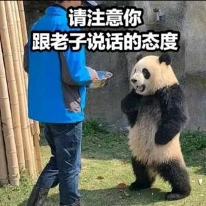乐驹小情人限流号 