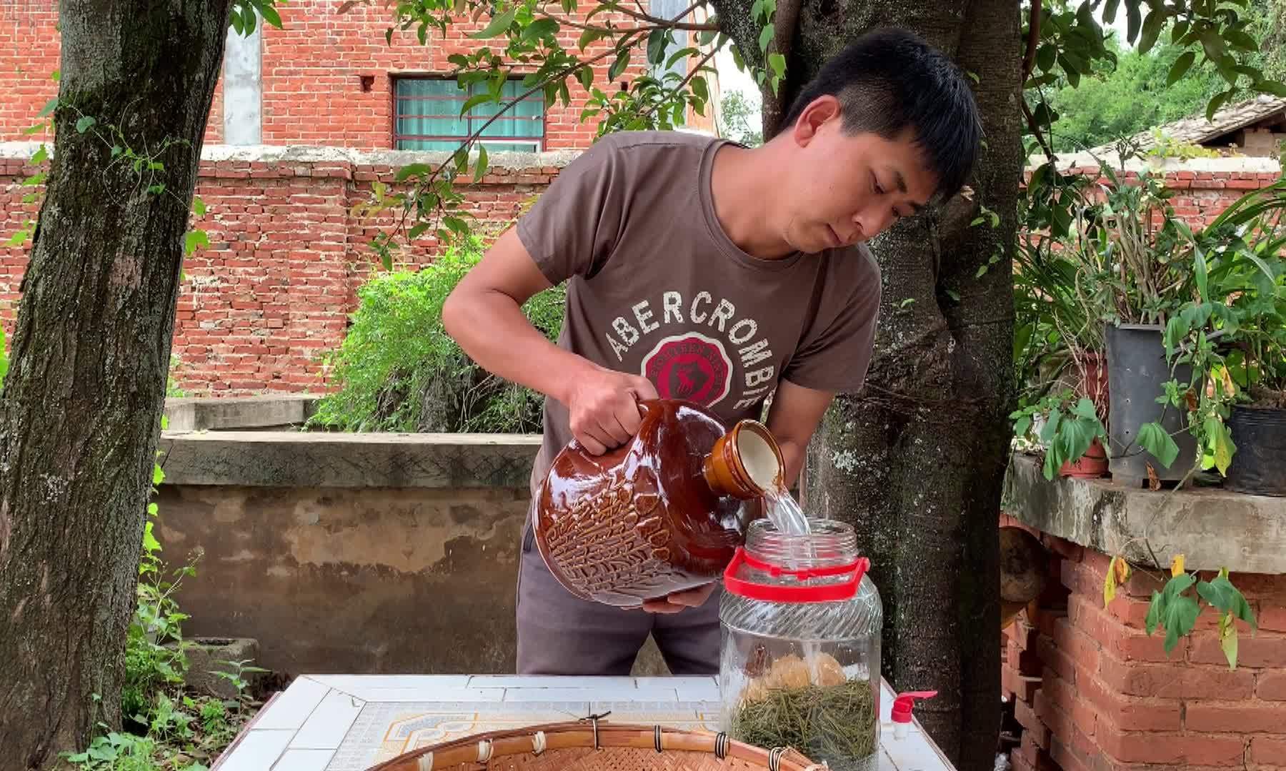 泡一瓶松针酒,存上一年半载