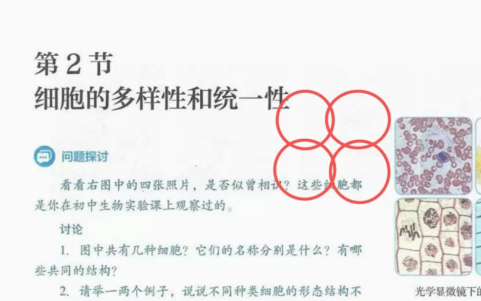 分子与细胞-走进细胞-1.2细胞的多样性和统一性