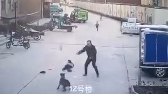 女童小区内被狗撕咬1分钟,姥爷:狗没栓绳,治疗费花了16万多