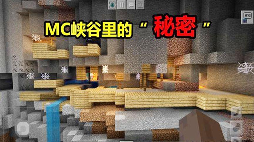 我的世界:MC老玩家为什么总要去峡谷?原来是有这几样东西