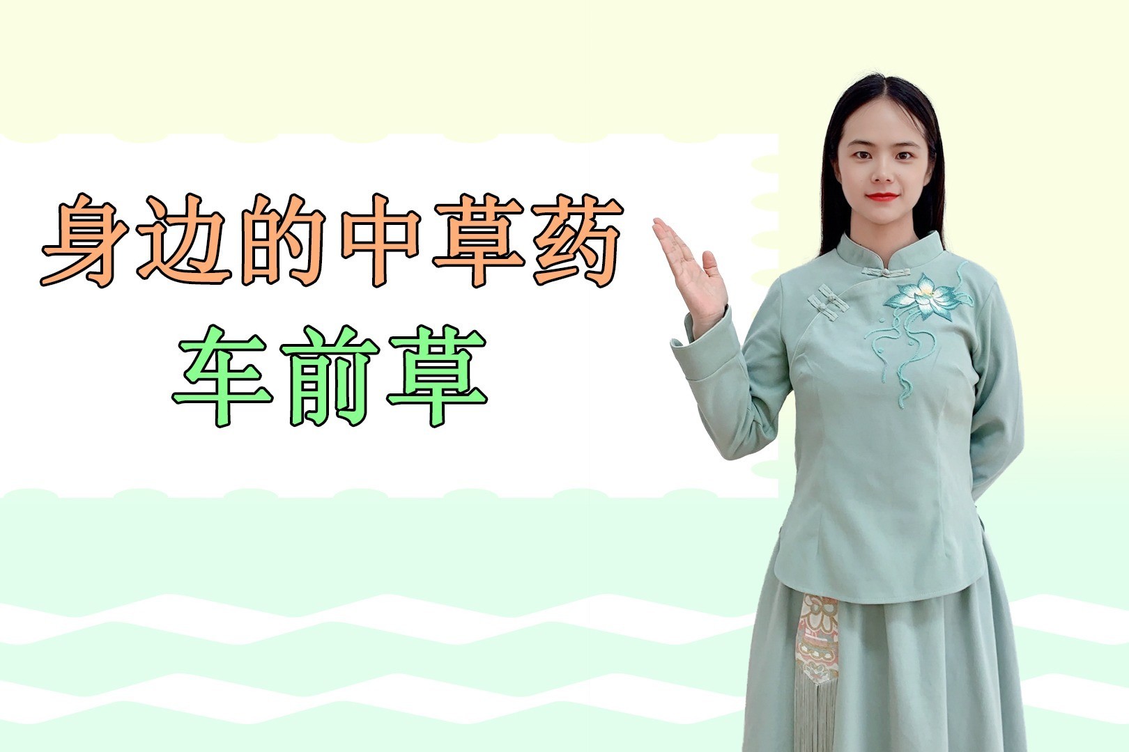 一味车前草,医用大疗效!车前草的4大妙用,可惜知道的人并不多