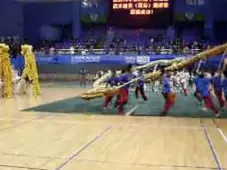 2014年第四届中国南京武术精英(国际)邀请赛上的舞龙舞狮表演