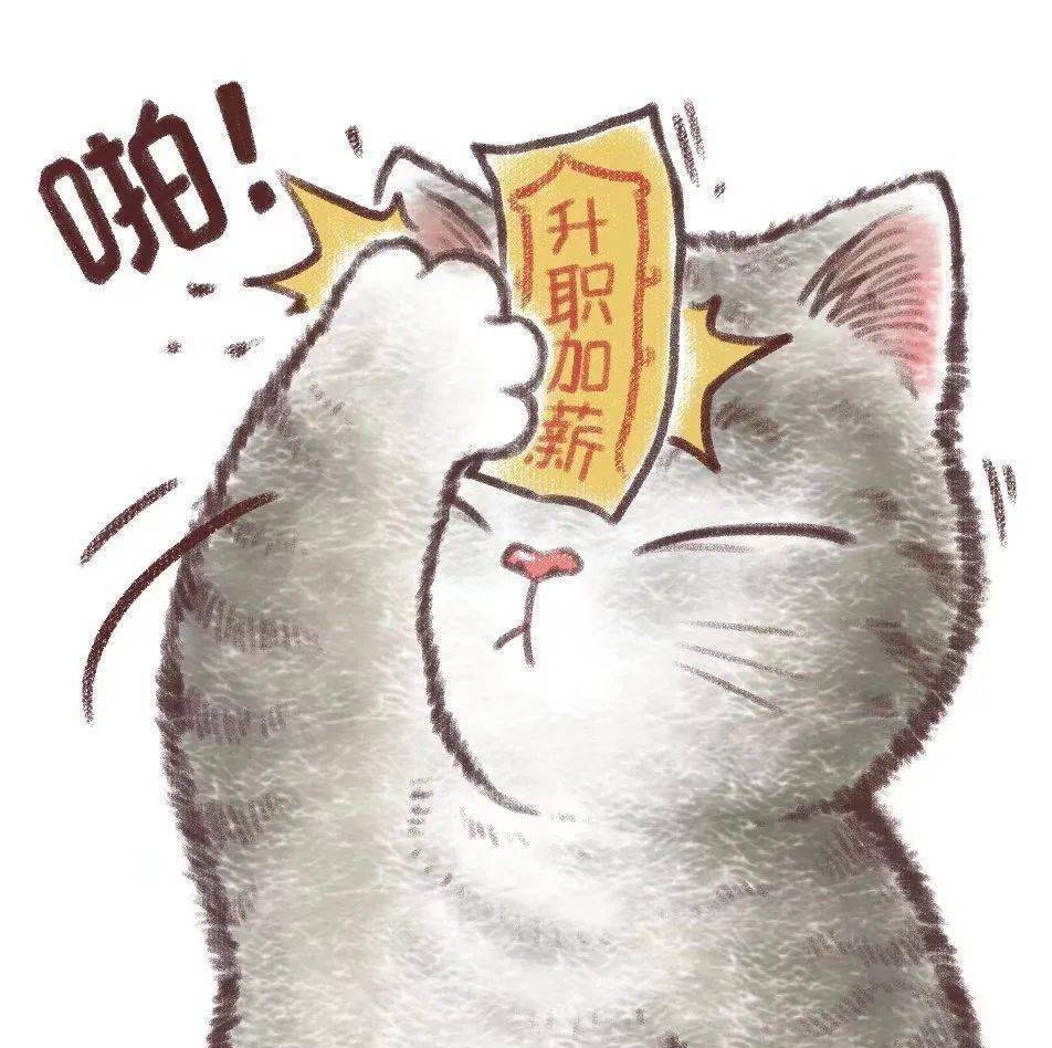 凉夏奶香猫 