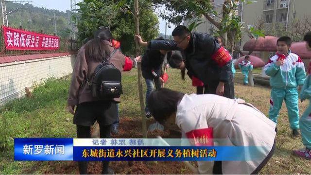东城街道永兴社区开展义务植树活动
