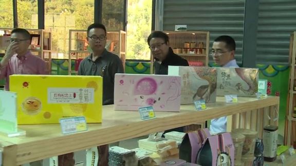 市新阶联建言献策委员会到我县走访