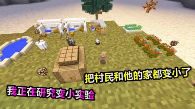 MC我的世界:小熊姐姐太坏了,把村民和他的家都变...