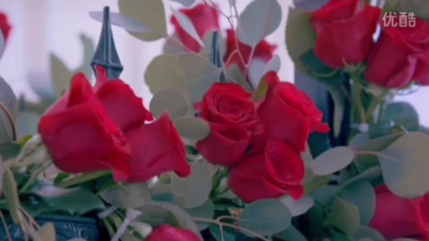 肖战x刘诗诗同代言视频混剪