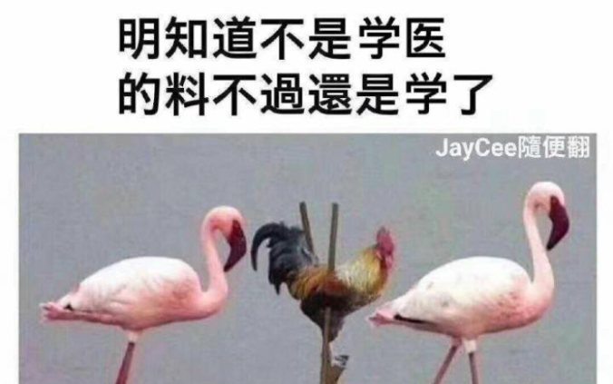 「study with me」医学生考研记录