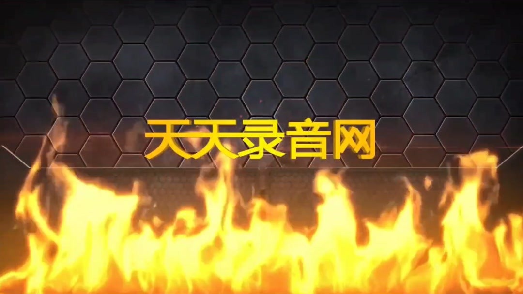 十一海尔电器促销活动广告录音