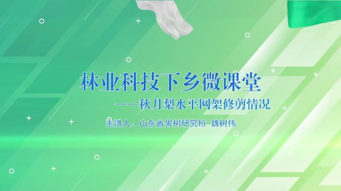 林业科技下乡微课堂|梨树水平网架修剪情况
