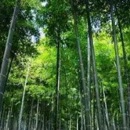 安心处，乃故乡 