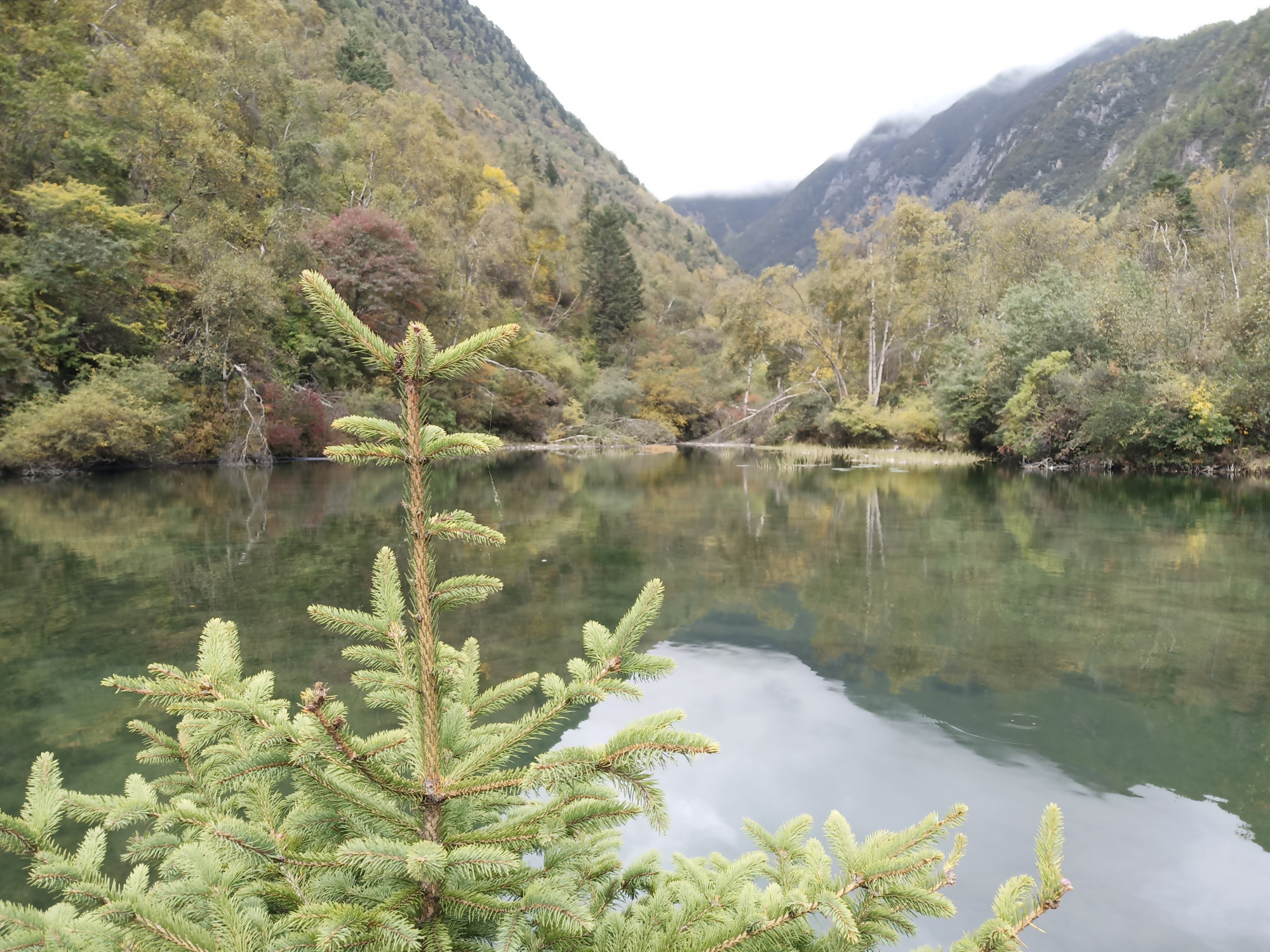 开心小屋之天天进厨房 