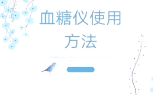 血糖仪使用方法