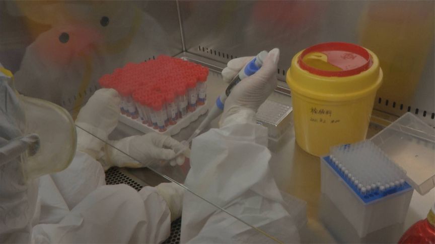 检验科专家为您揭秘核酸检测全过程