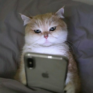 爱伪二次元的三次元 