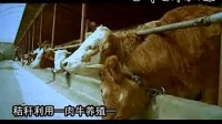 康乐县畜牧局宣传片