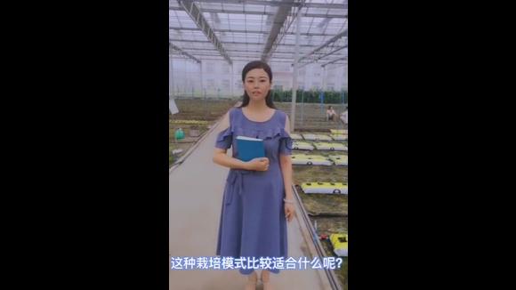 这种无土栽培模式适合所有人,水泥地、盐碱地都可以做,投资小