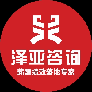 泽亚薪酬绩效设计 