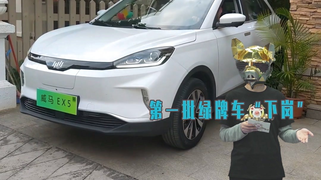 第一批绿牌车“下岗”,车主:早知今日,当初再便宜也不要