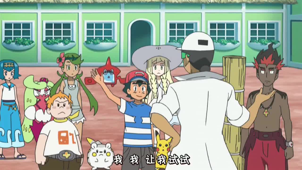 精灵宝可梦:木木枭无视命令,凡事还是先睡,睡觉最重要(1)