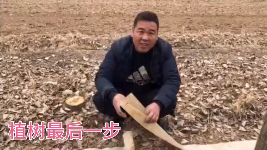 农村小伙植树造林,花大价钱买树苗,别出心裁的浇树,太有才了!