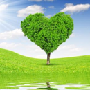 看就个发的的是的 