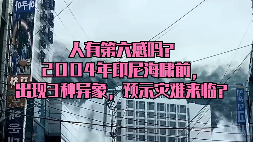 人有第六感吗?2004年印尼海啸前,出现3种异象,预示灾难来临?